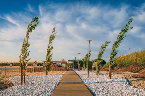 HOA and Community Landscaping in Colorado Springs